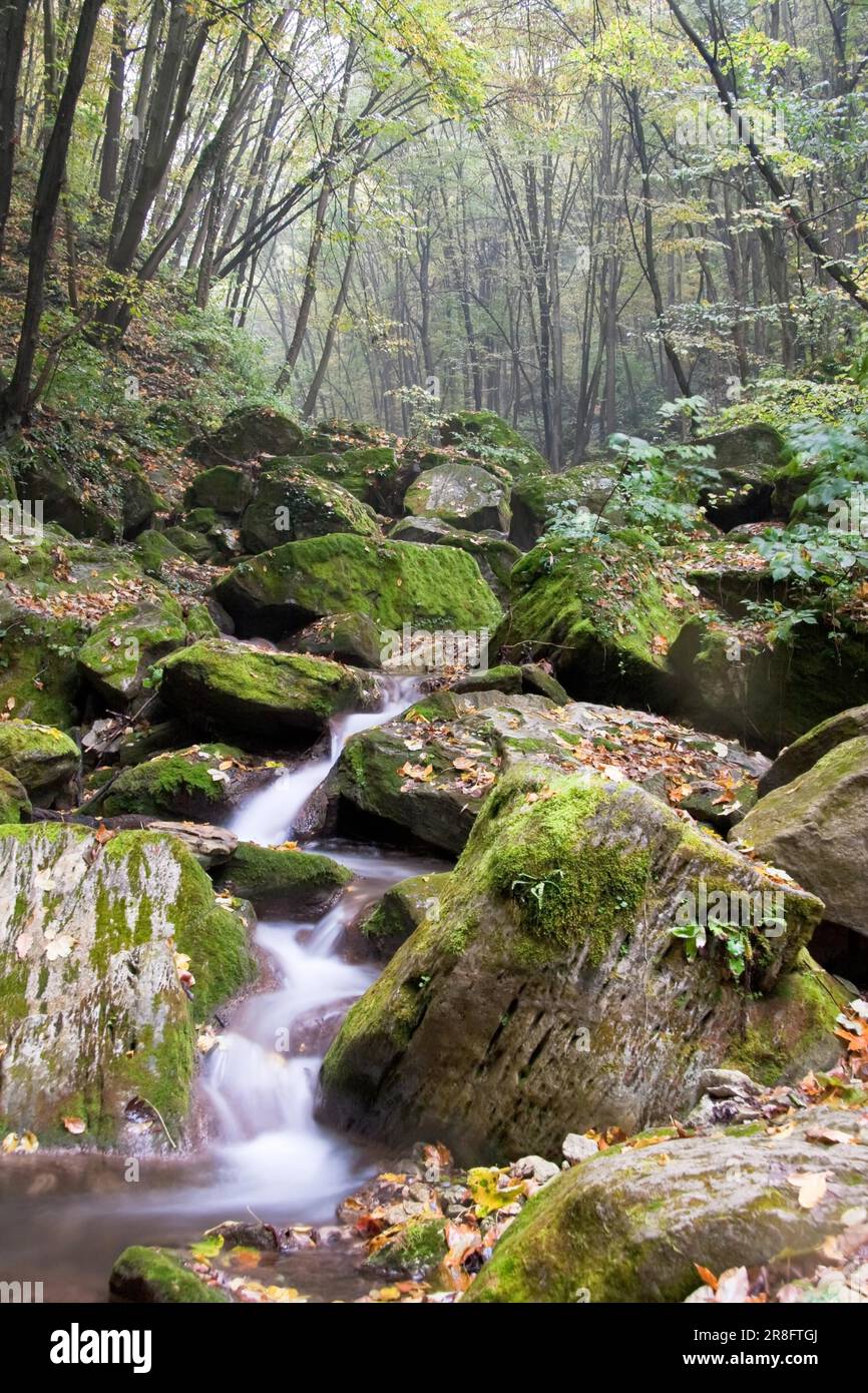 Cool water streaming down Stock Photo - Alamy