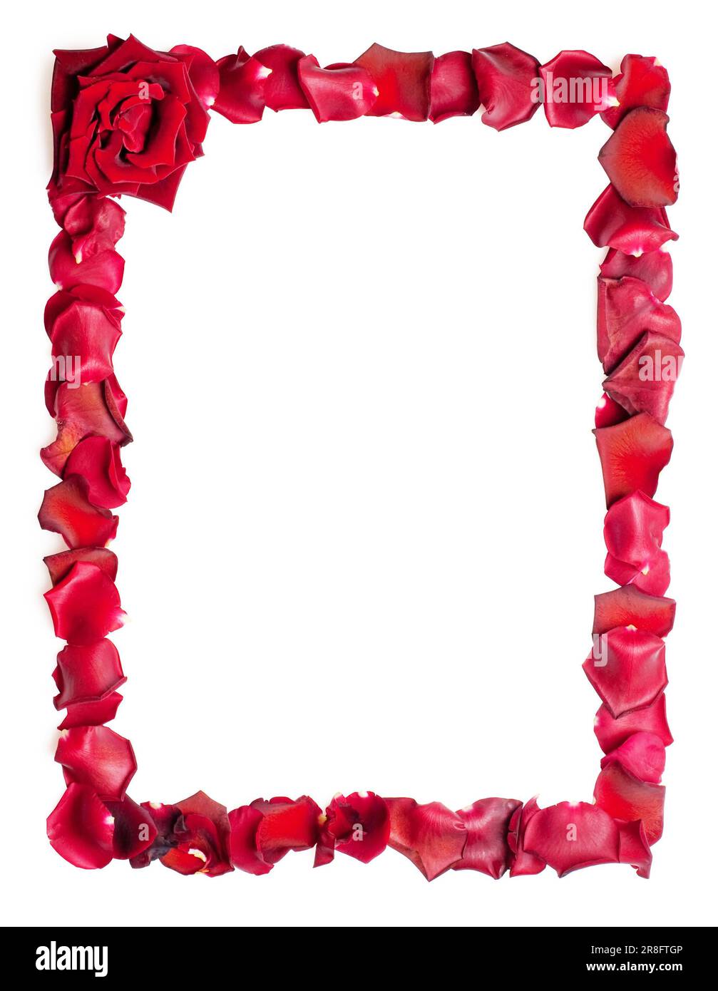 A border of red rose petals Stock Photo - Alamy