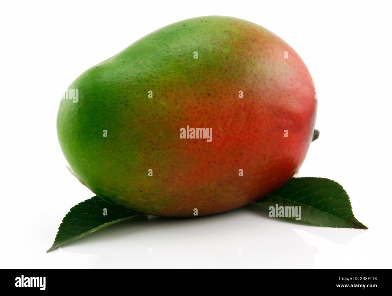 Ripe Mango Fruit with Green Leafs Isolated on White Background Stock ...