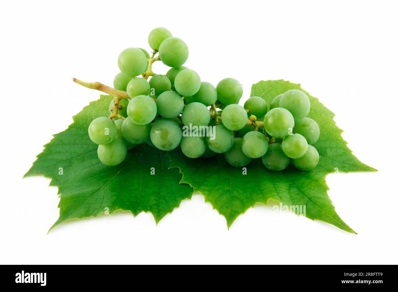 Bunch of Ripe Green Grapes with Leaf Isolated on White Background Stock Photo - Alamy