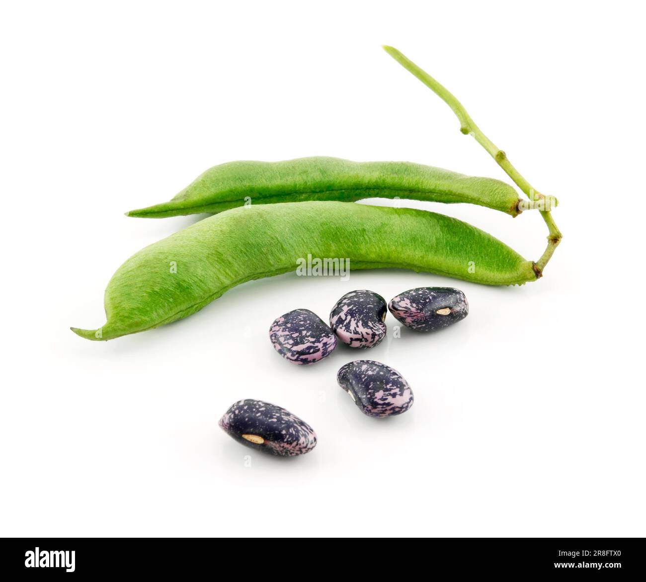Ripe Haricot Beans with Seed Isolated on White Background Stock Photo ...