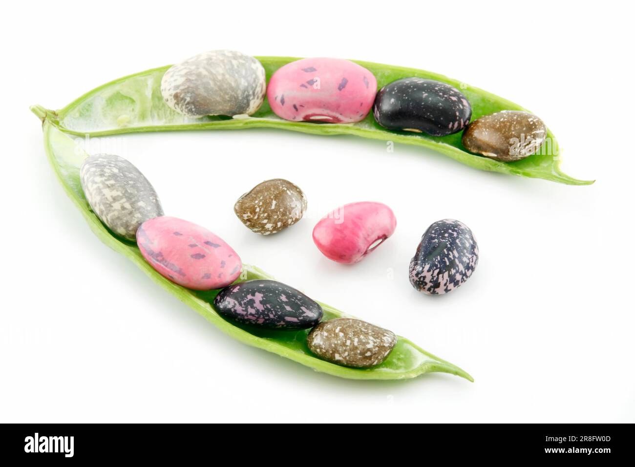 Ripe Haricot Beans with Seed and Leaves Isolated on White Background ...