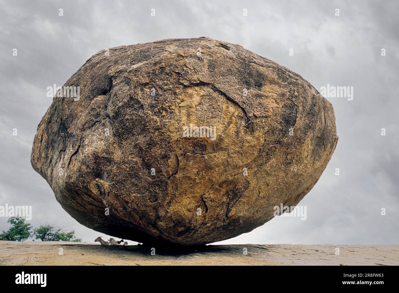 A perfectly balanced huge boulder resting on slender rock-base known as ...