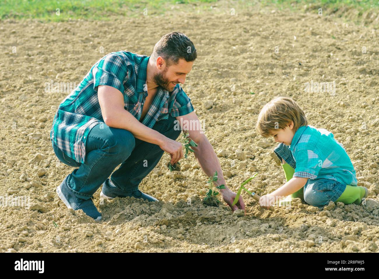 Father teaching his son gardening. Son helping his father to plant the ...