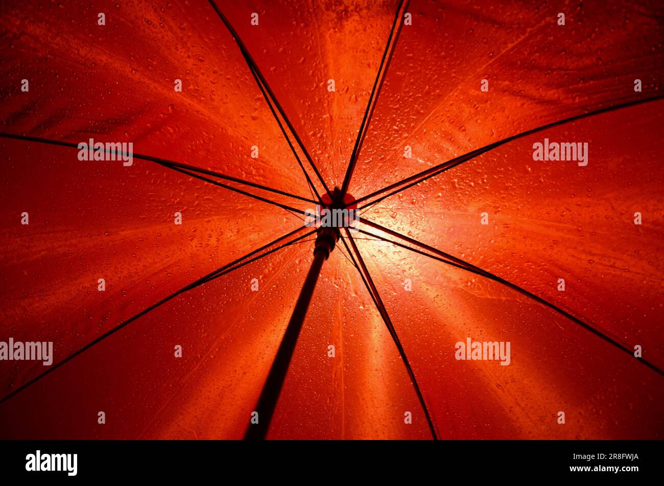 Illuminated Red Umbrella with Water Drops Stock Photo - Alamy