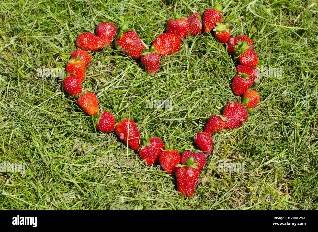 Strawberry Heart Shape on the Green Grass Stock Photo - Alamy