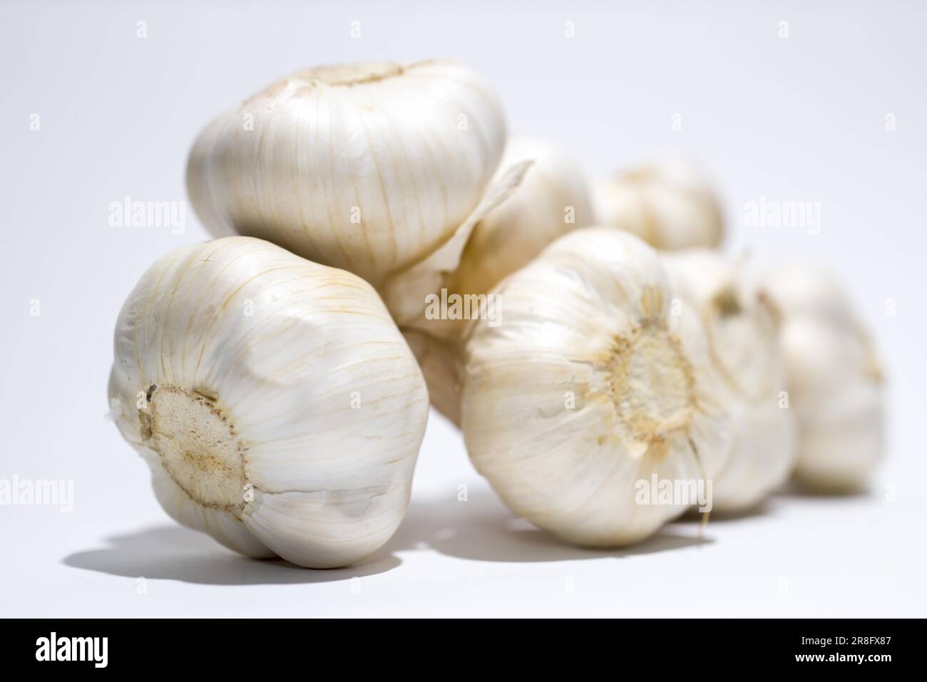 Garlic Bulb on White Background Stock Photo - Alamy