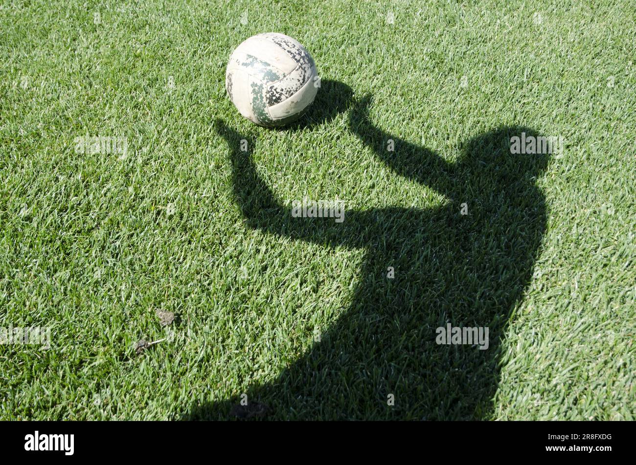 Shadow Playing Football on the Green Grass Stock Photo - Alamy