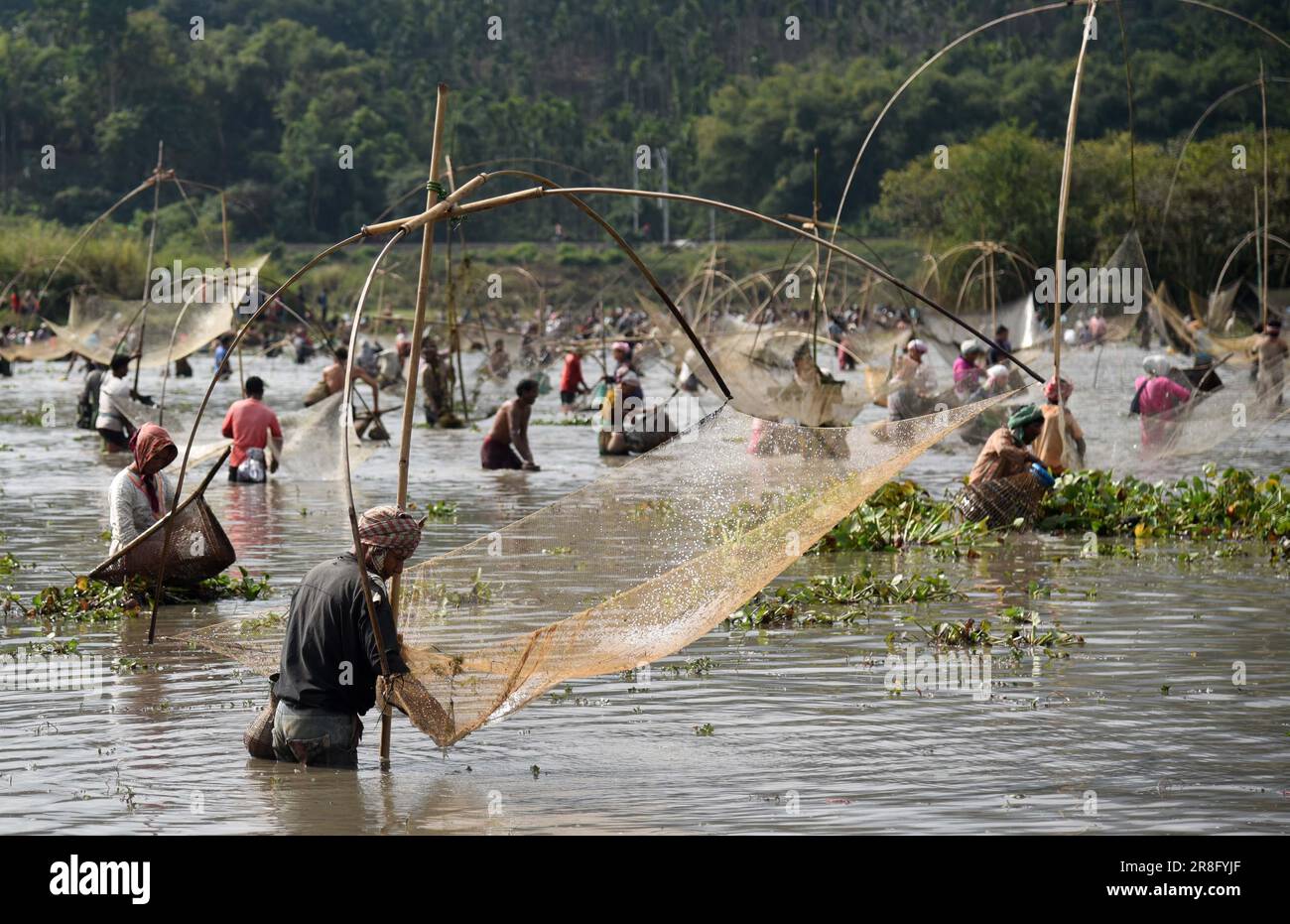 Panbari village hi-res stock photography and images - Alamy