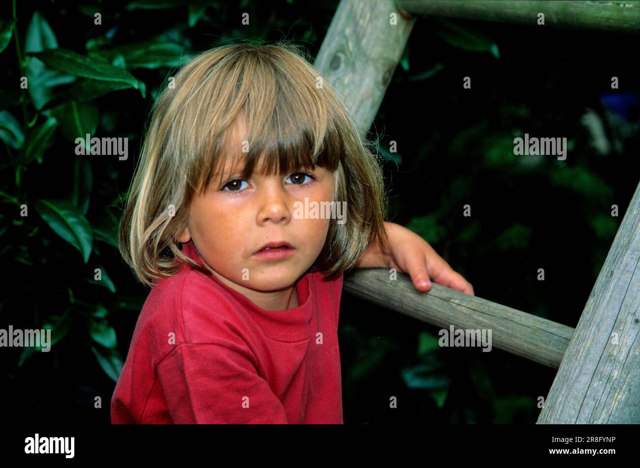Little girl on ladder Stock Photo - Alamy
