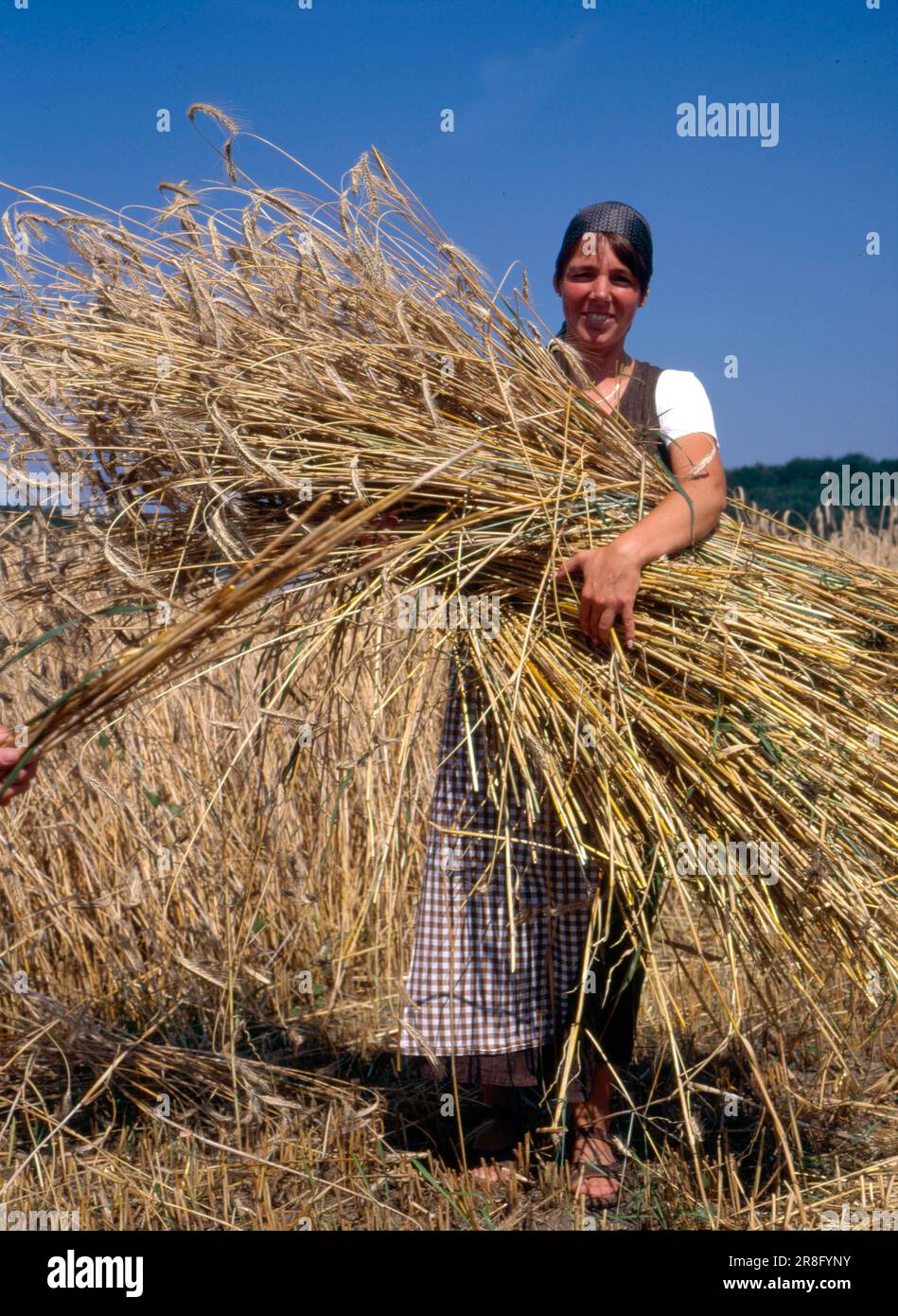 Sheaf of grain hi-res stock photography and images - Alamy