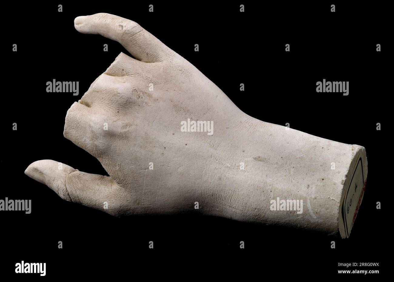 Cast of an Unidentified Woman's Right Hand (three fingers missing) n.d ...