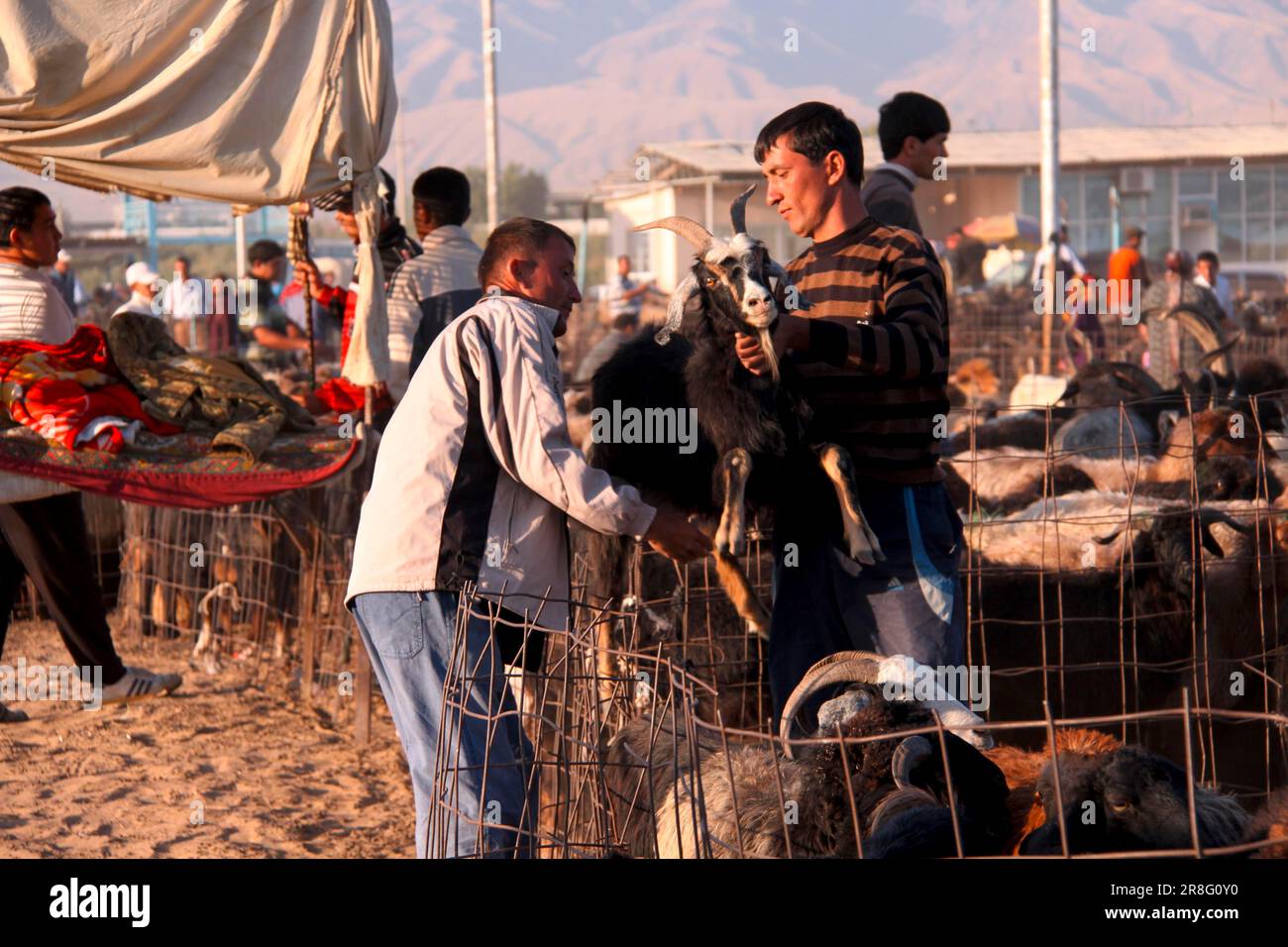 Scene at the Tolkuchka Bazaar in Ashgabat Turkmenistan Stock Photo - Alamy
