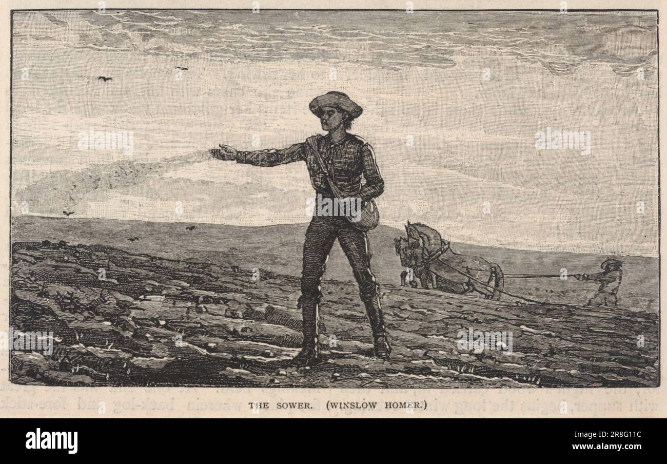 The Sower, from Scribner's Monthly, An Illustrated Magazine for the ...