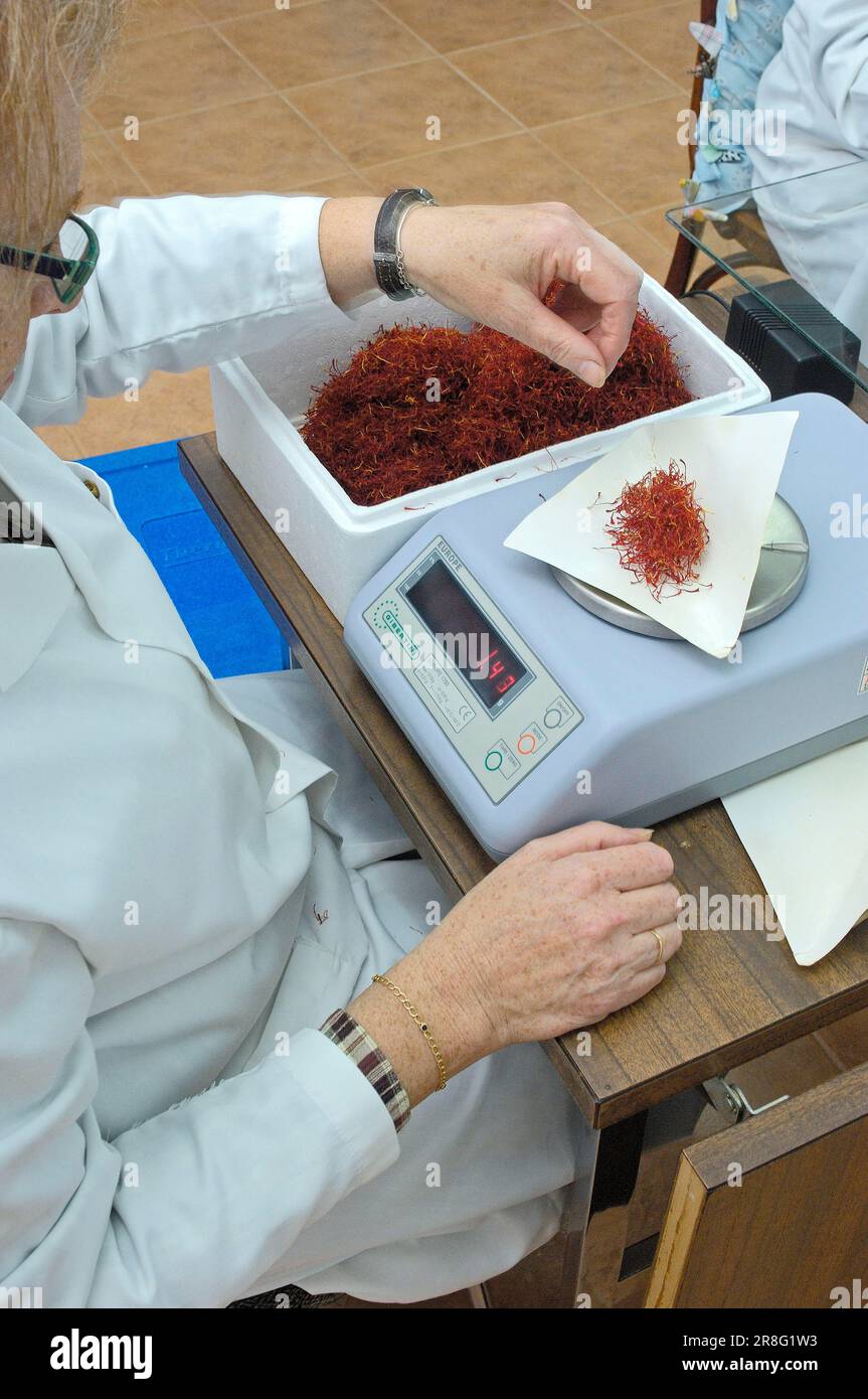 Saffron on scales, real saffron, Villafranca de los Caballeros, Toledo ...