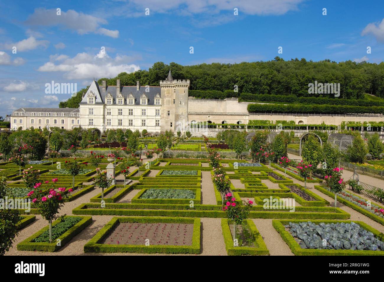 Villandry Castle and Castle Garden, Chateau de, Indre-et-Loire, Loire ...