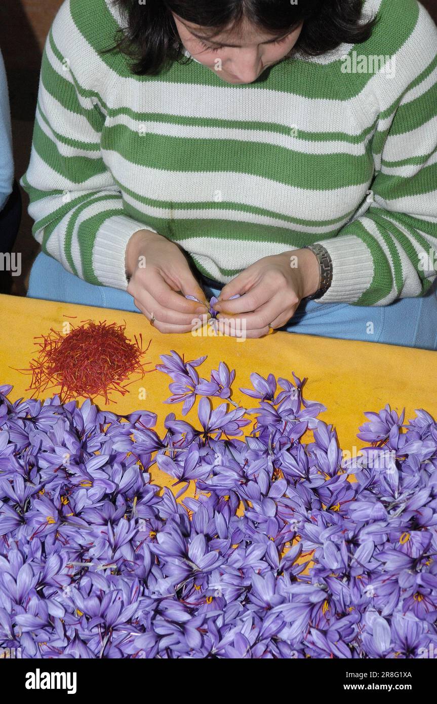 Castile threads hi-res stock photography and images - Alamy