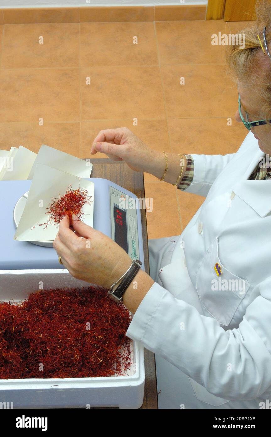 Saffron on scales, real saffron, Villafranca de los Caballeros, Toledo ...
