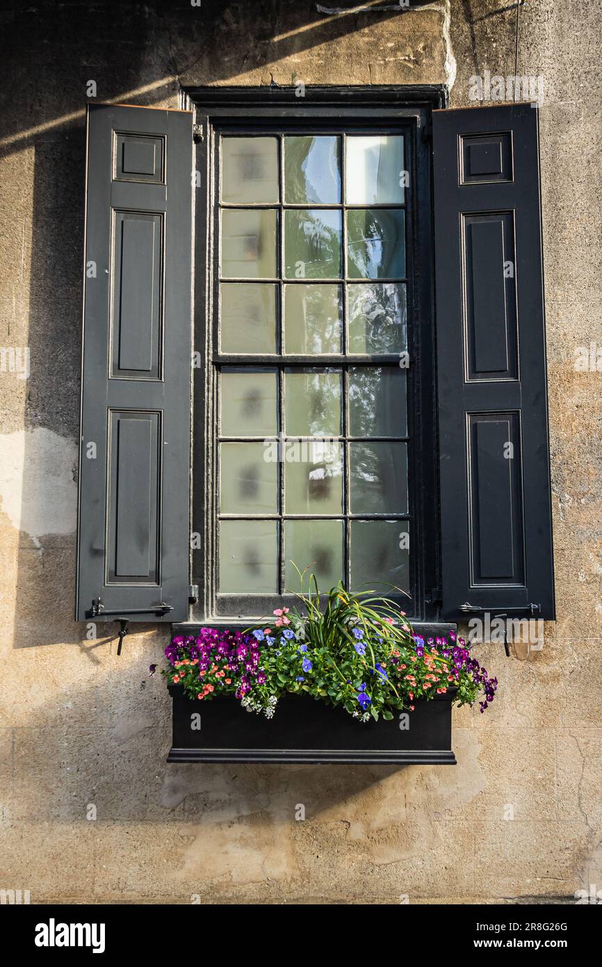 Close up of the color windows of a colonial era home in Charleston ...
