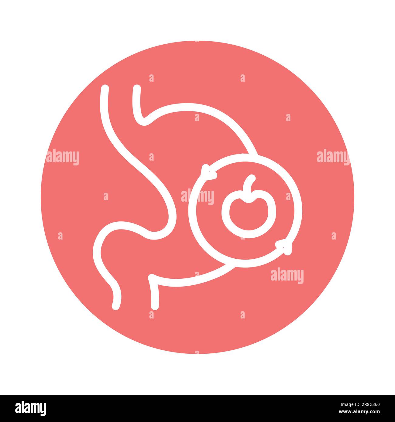 Digestion food color line icon. Isolated vector element. Outline ...