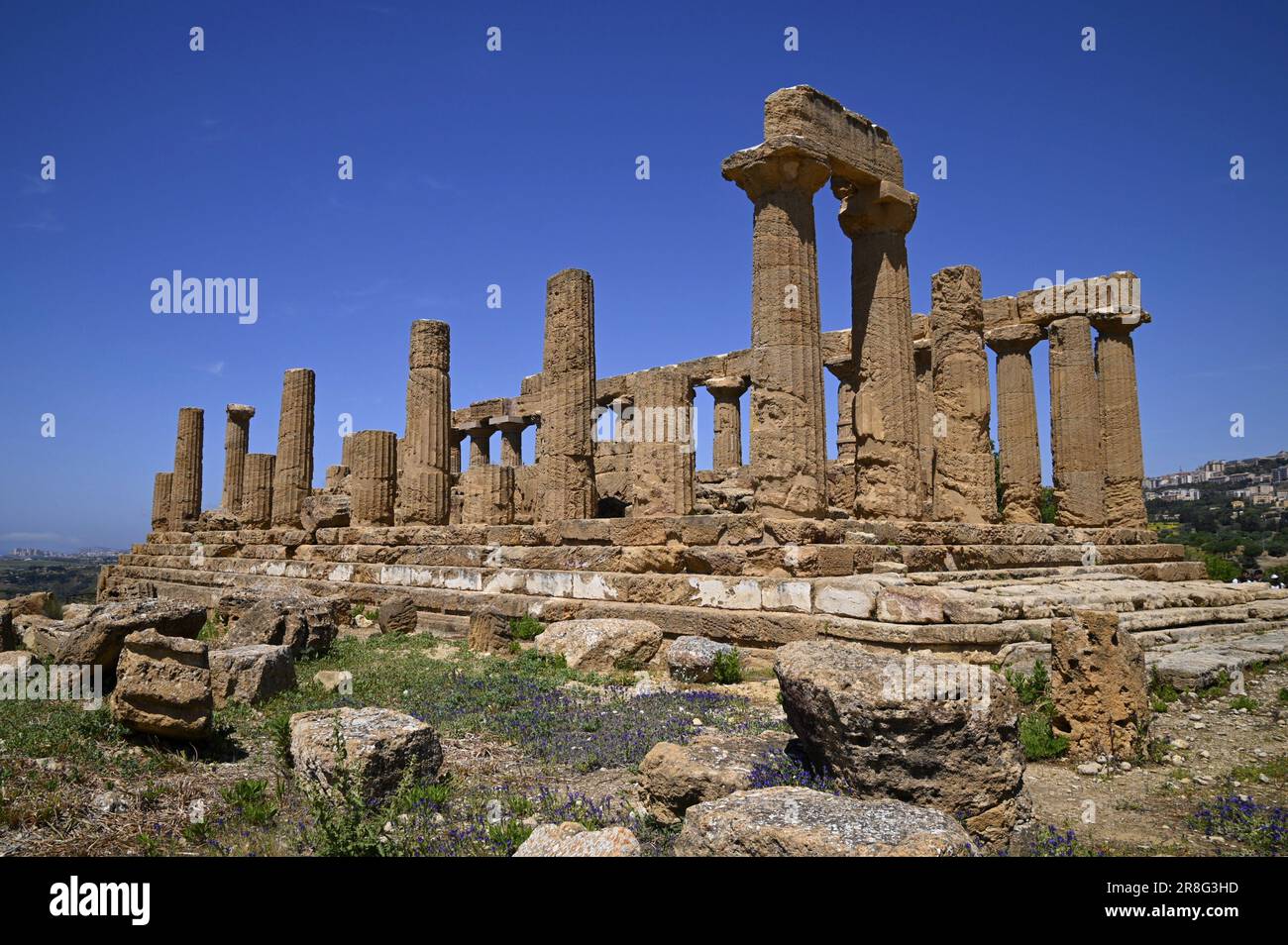 Archaic Doric order Temple of Hera Lacinia an ancient Greek Temple at ...