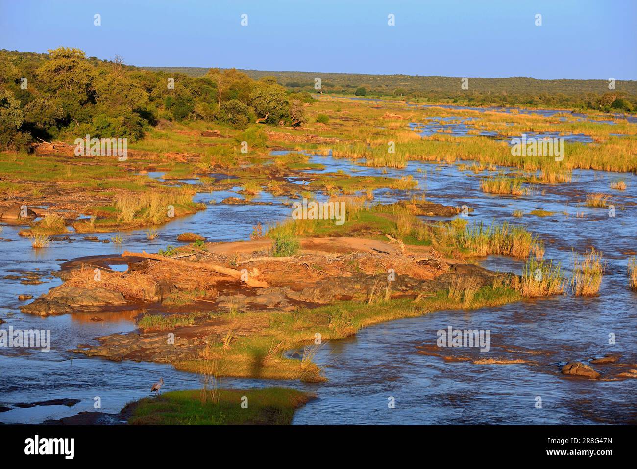 Olifants river south africa hi-res stock photography and images - Alamy