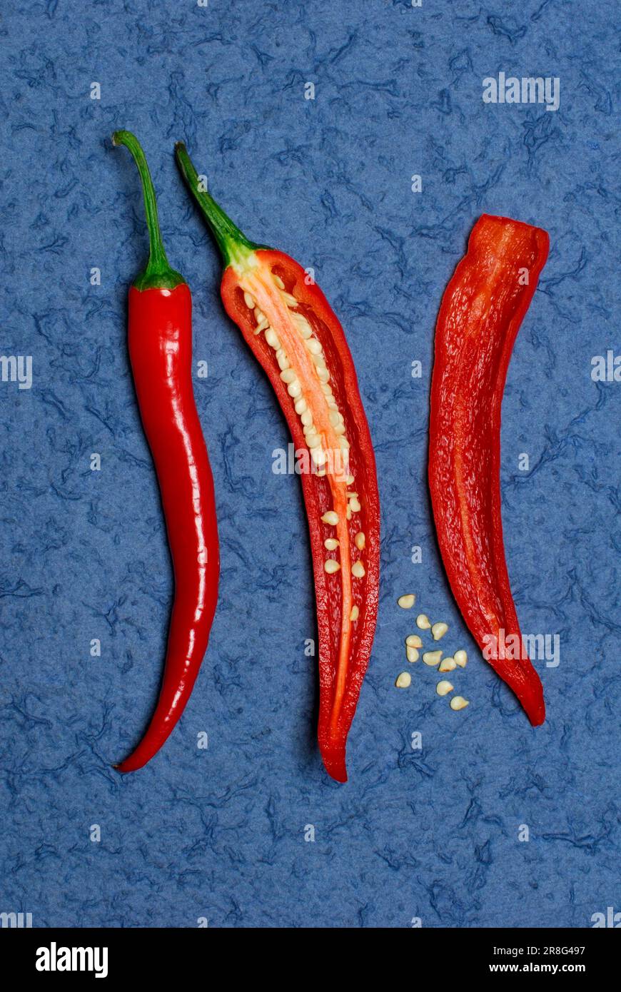 Capsicum annuum chilli pepper hi-res stock photography and images - Alamy