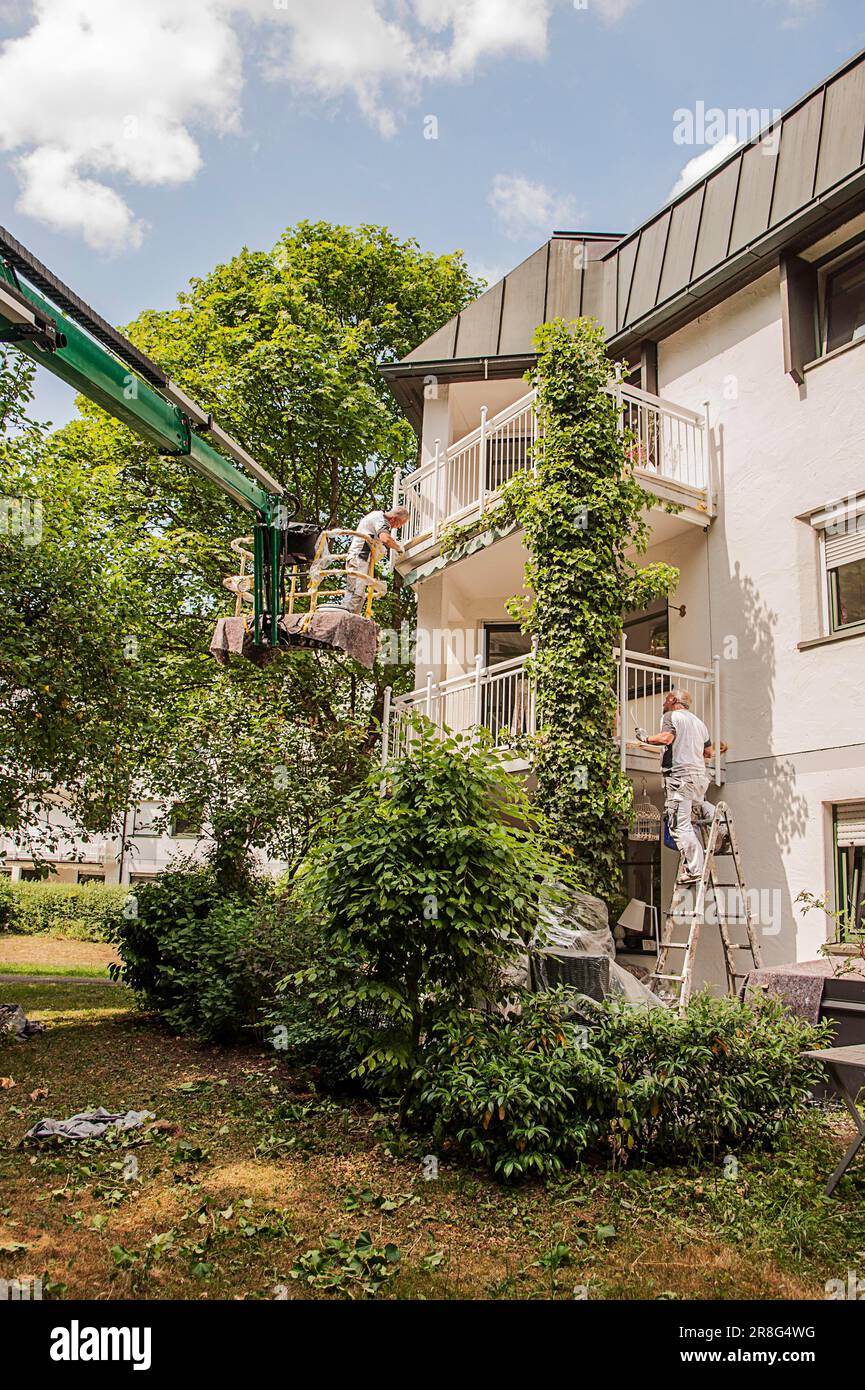 Painter, painting work, paint, renew, balcony, house facade, telescopic ...