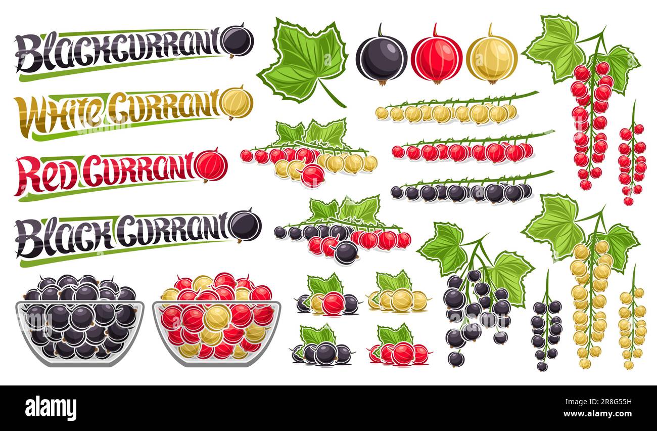 White plate cut out Stock Vector Images - Alamy