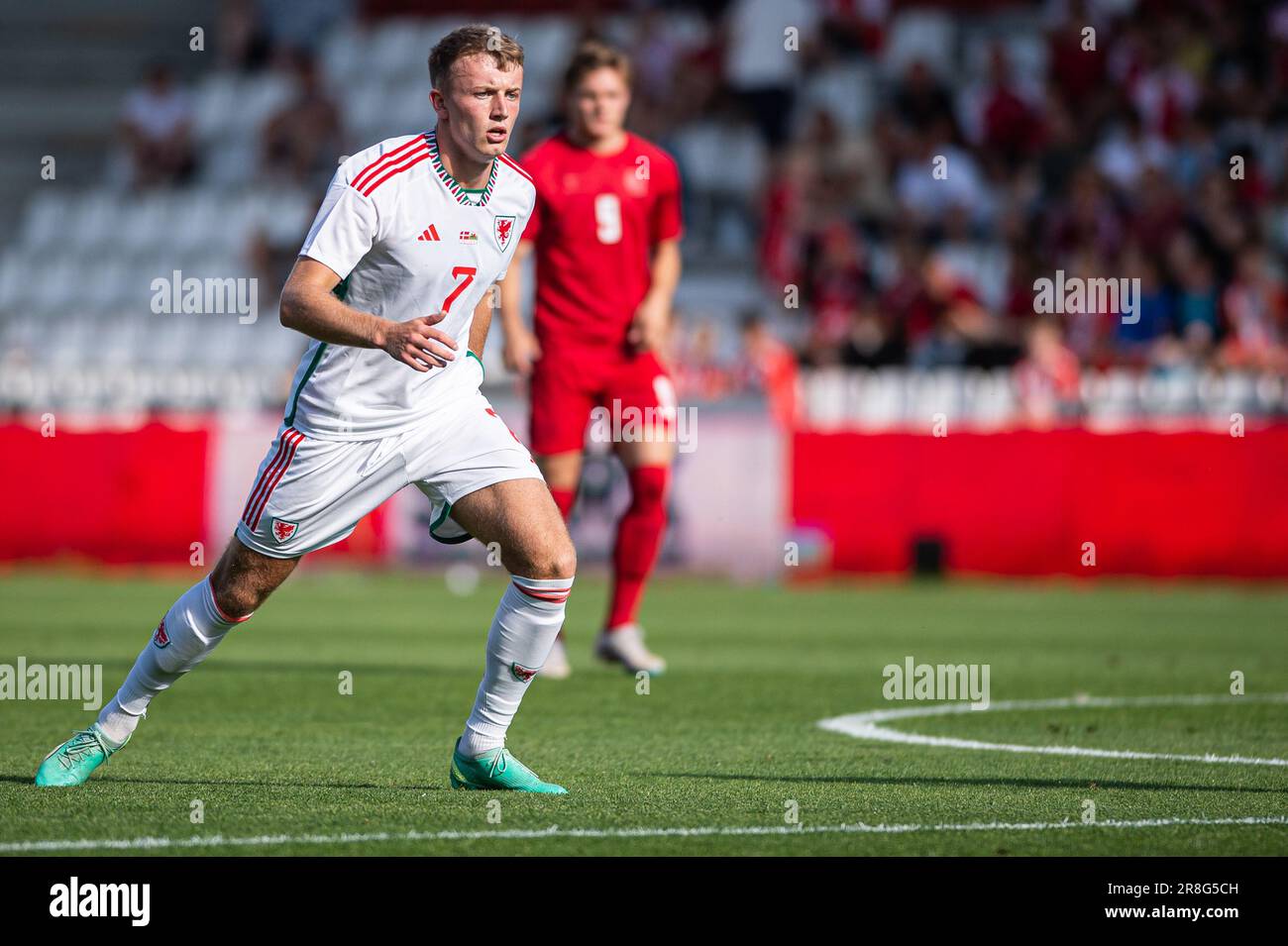 Eli king wales hi-res stock photography and images - Alamy