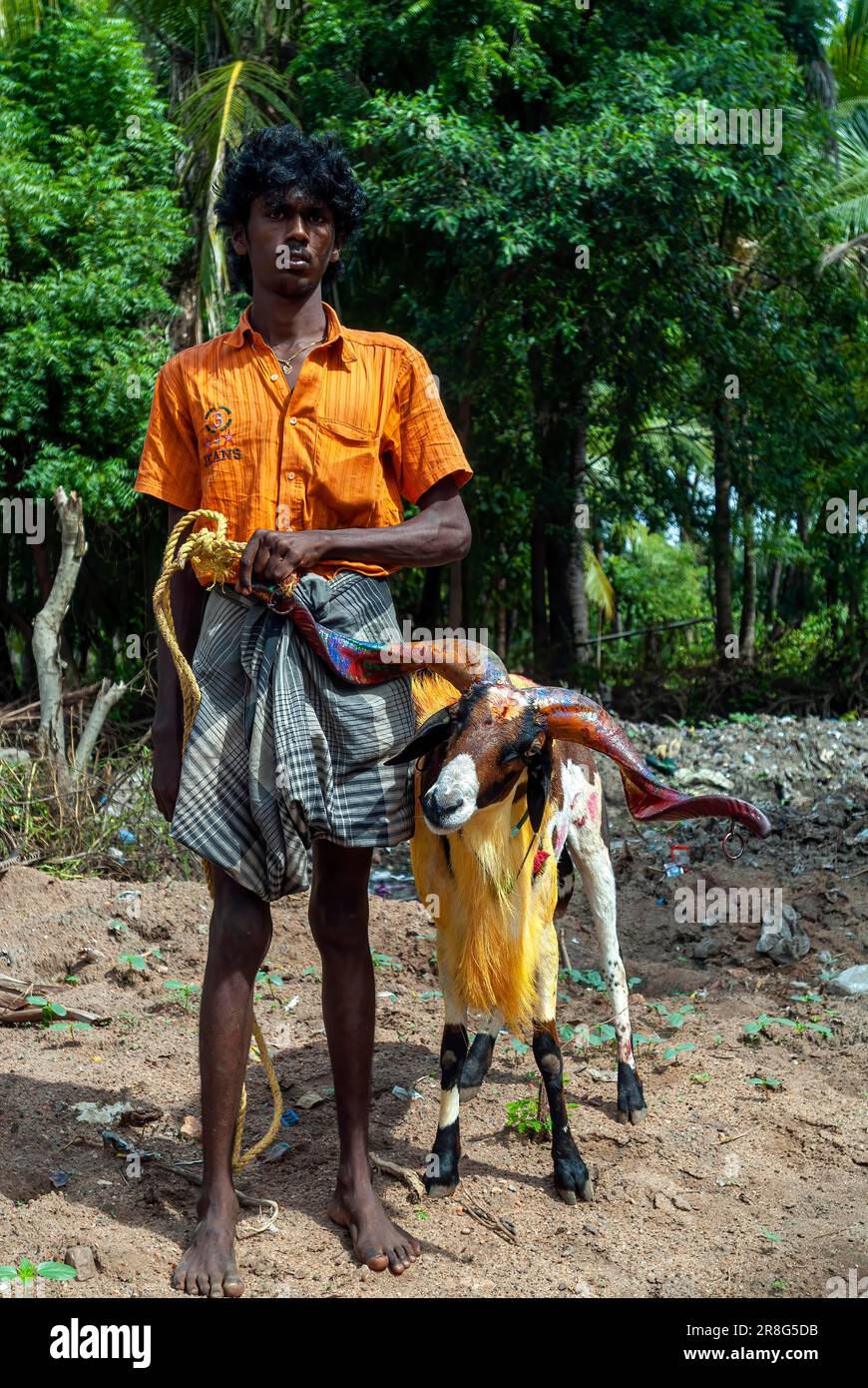 Owner with Goat waiting for kidaai Muttu Goat fighting near Madurai ...