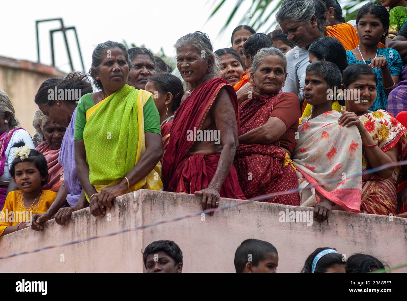 A group of women watching kidaai Muttu Goat fighting near Madurai ...