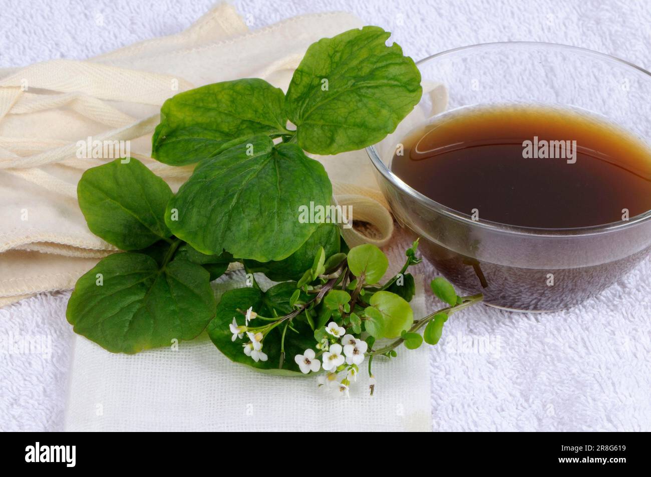 Essence of nasturtium hi-res stock photography and images - Alamy