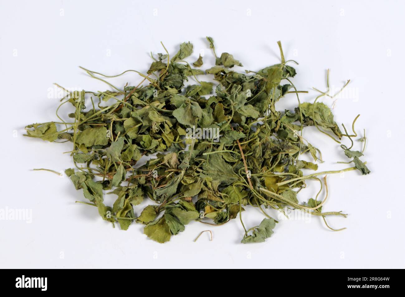 Fenugreek, dried leaves, Greek fenugreek (Trigonella foenum-graecum ...