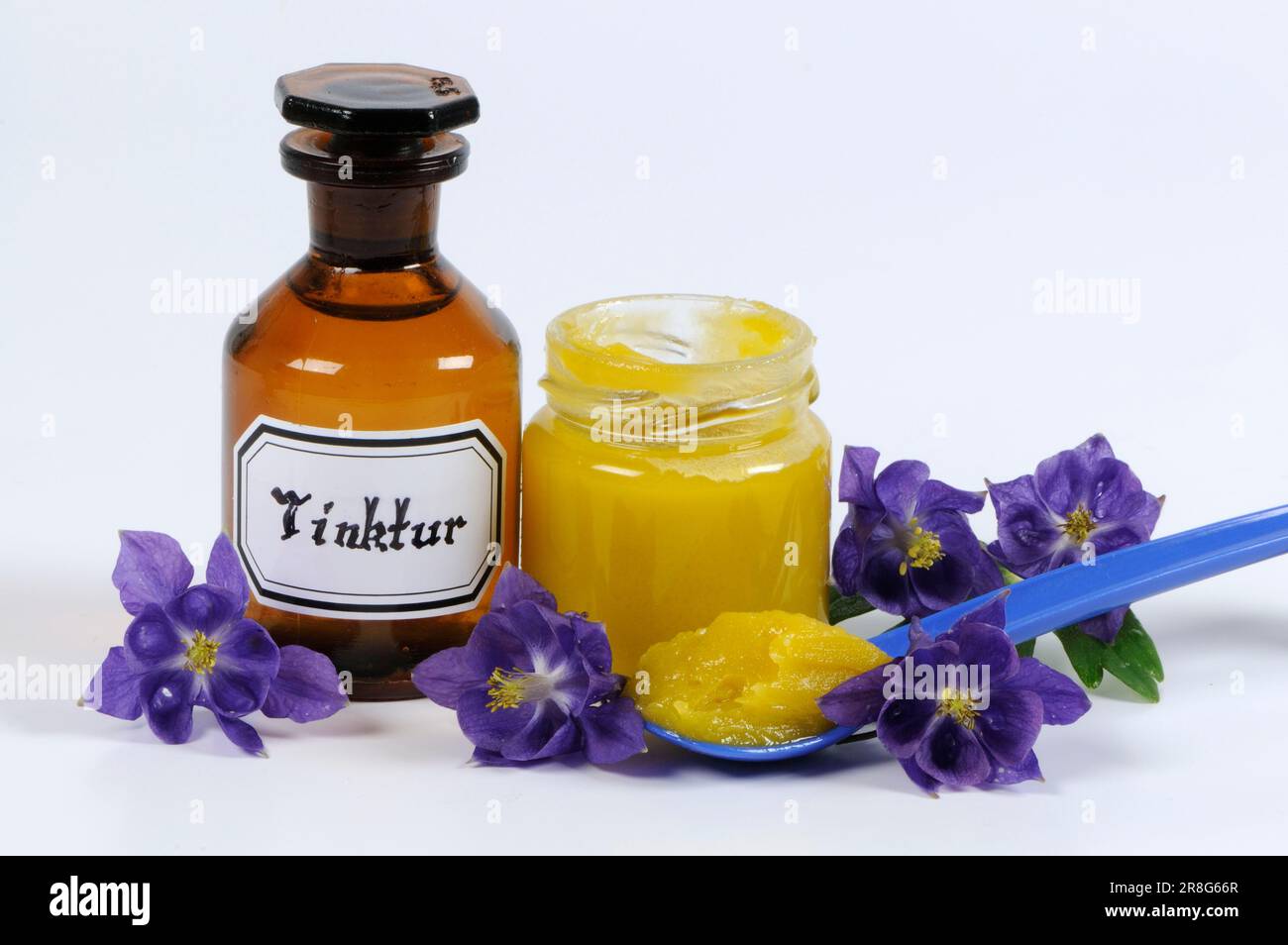 Common (Aquilegia vulgaris) columbine ointment and tincture, columbine ...