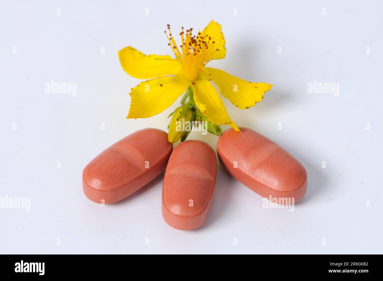 Common St John's wort (Hypericum perforatum), tablets, spotted St. John ...