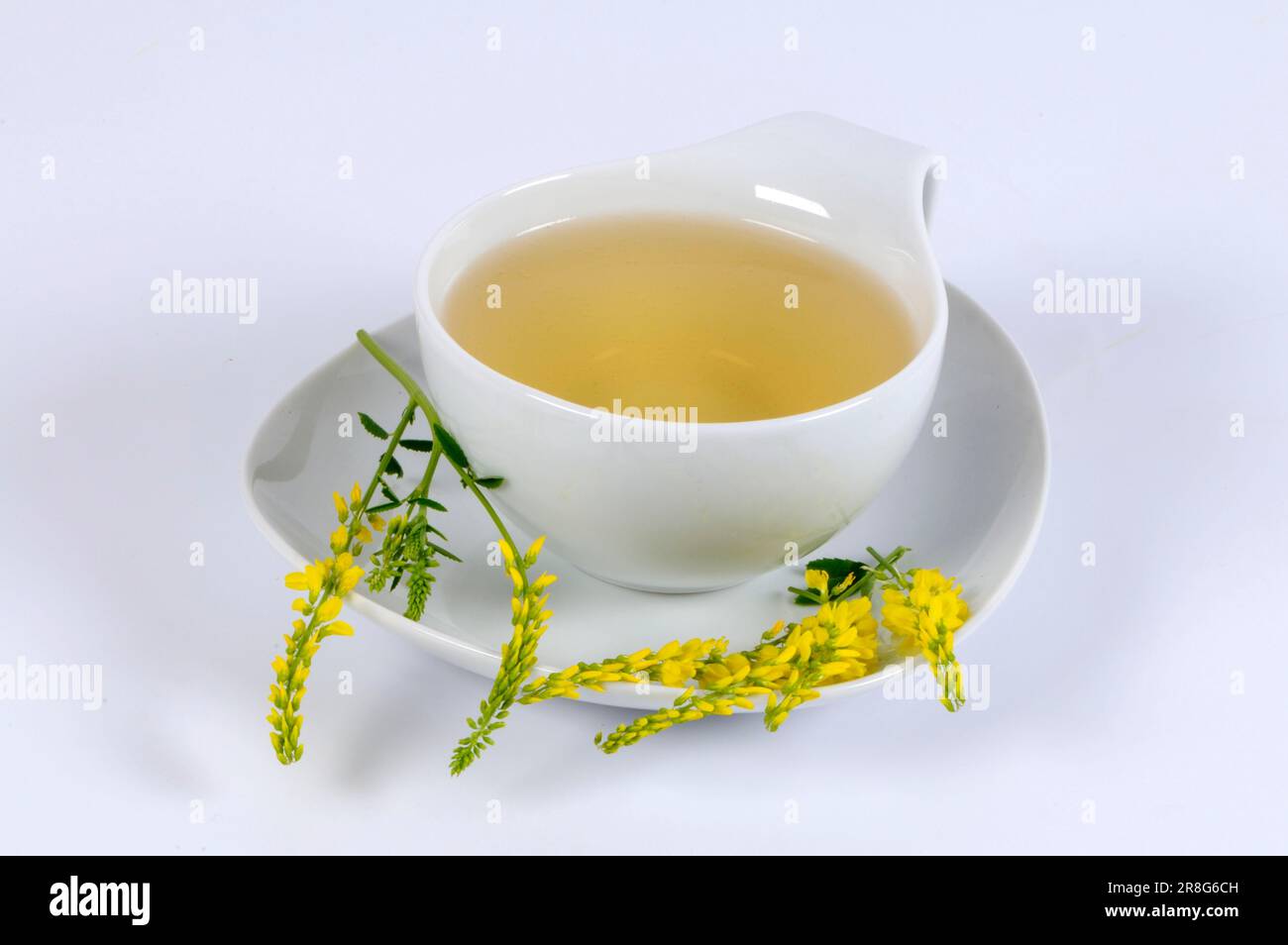Cup of melilot tea, sweet clover (Melilotus officinalis Stock Photo - Alamy