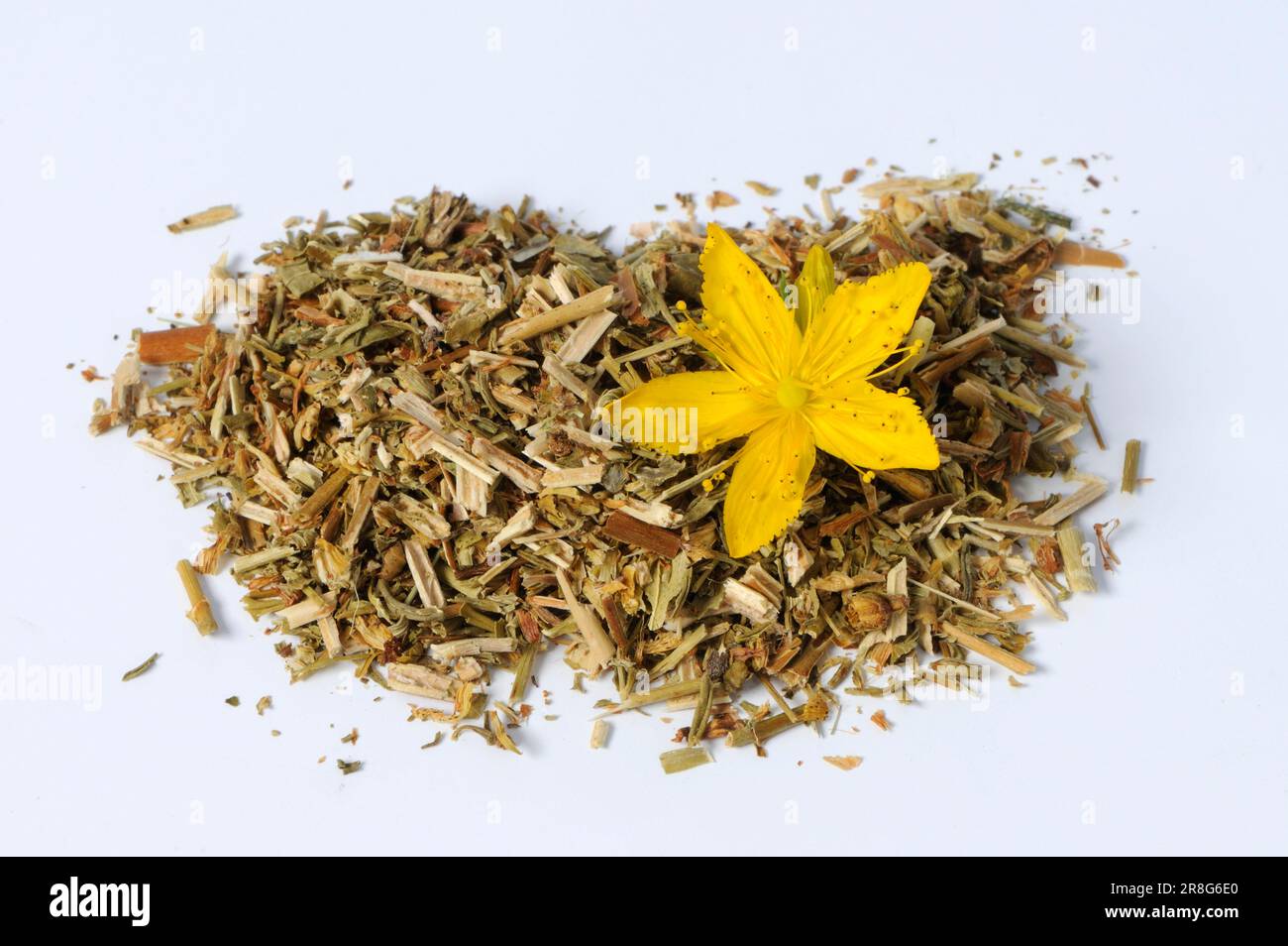 Common St John's wort (Hypericum perforatum), dried, spotted St. John's ...