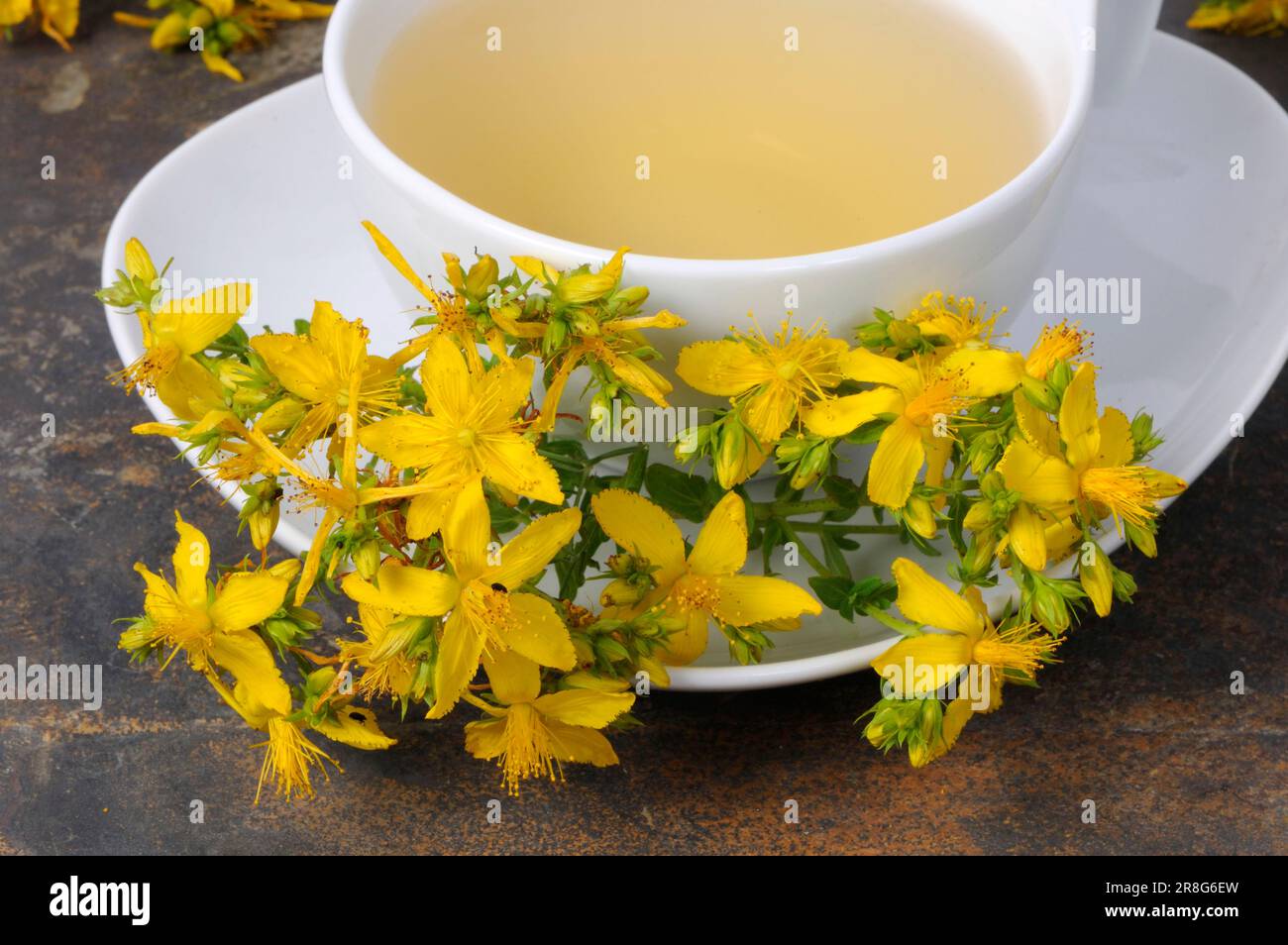 Common St John's wort (Hypericum perforatum), St. John's wort tea ...