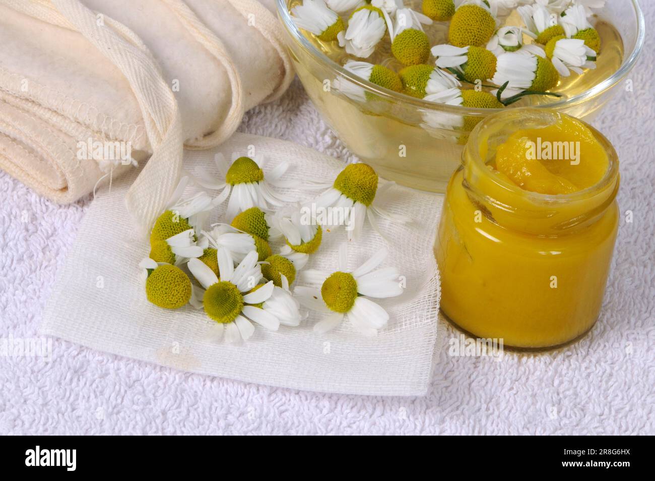 German chamomile (Matricaria chamomilla), ointment, wash and poultice ...