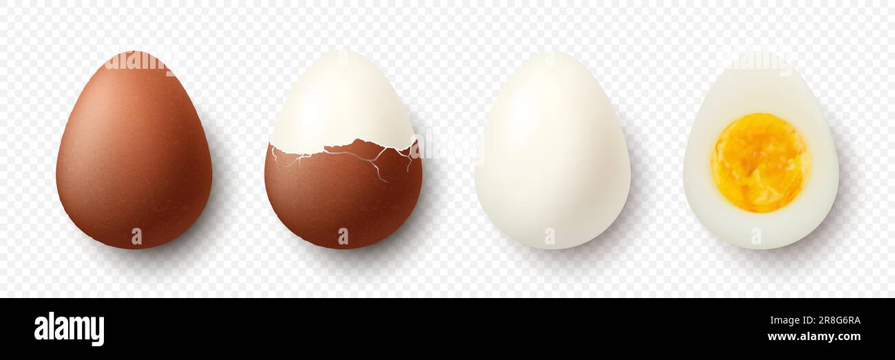 Vector 3d Realistic Brown Chicken Eggs. Textured Whole, Cracked Broken, Peeled Boiled Chicken ...