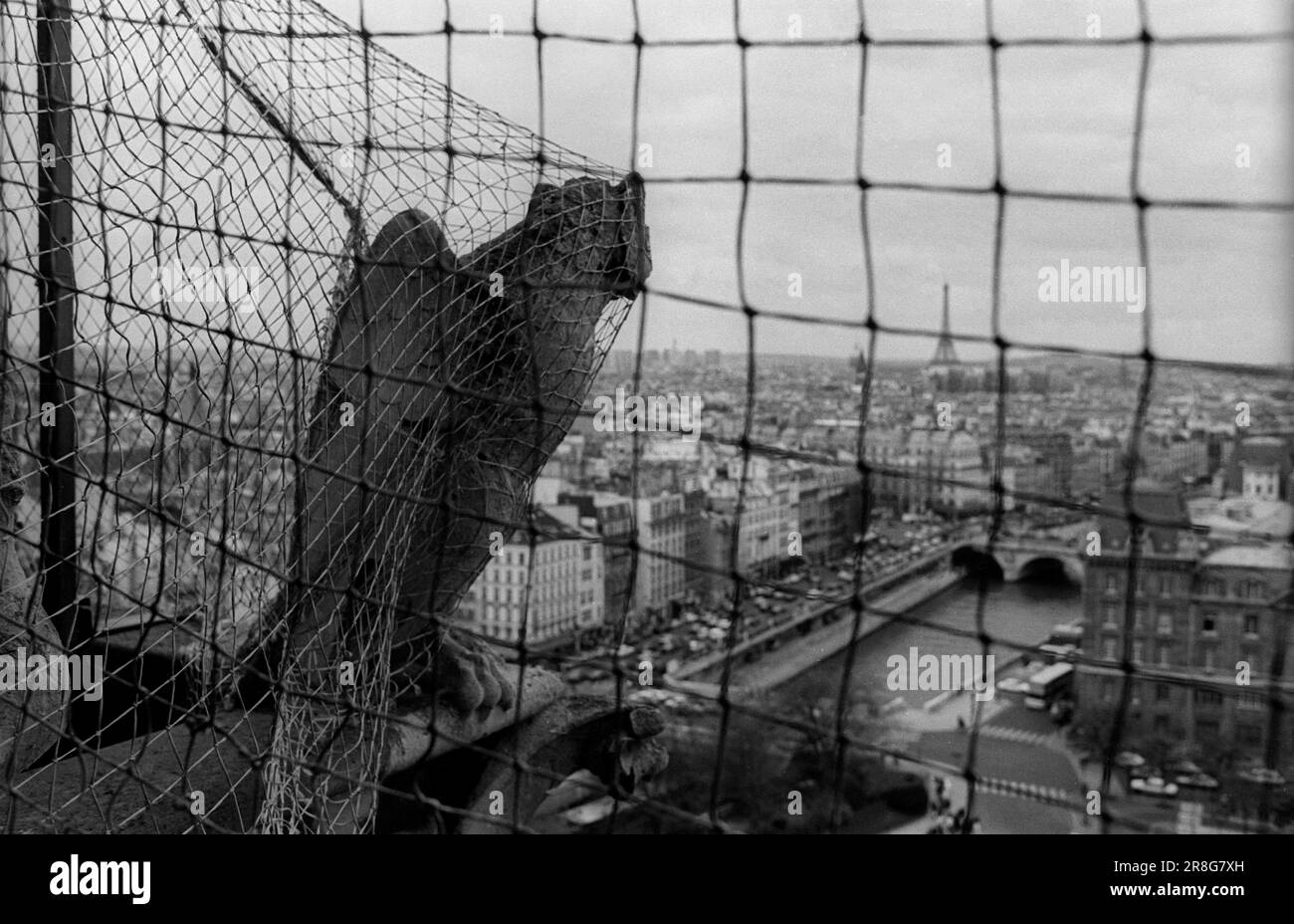 France, Paris, 24.03.1990, mythical creatures on the towers of Notre ...