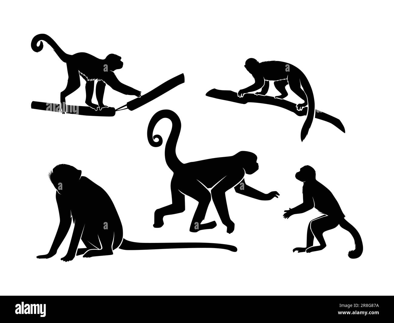 Set of Monkeys Silhouette Isolated on a white background - Vector ...