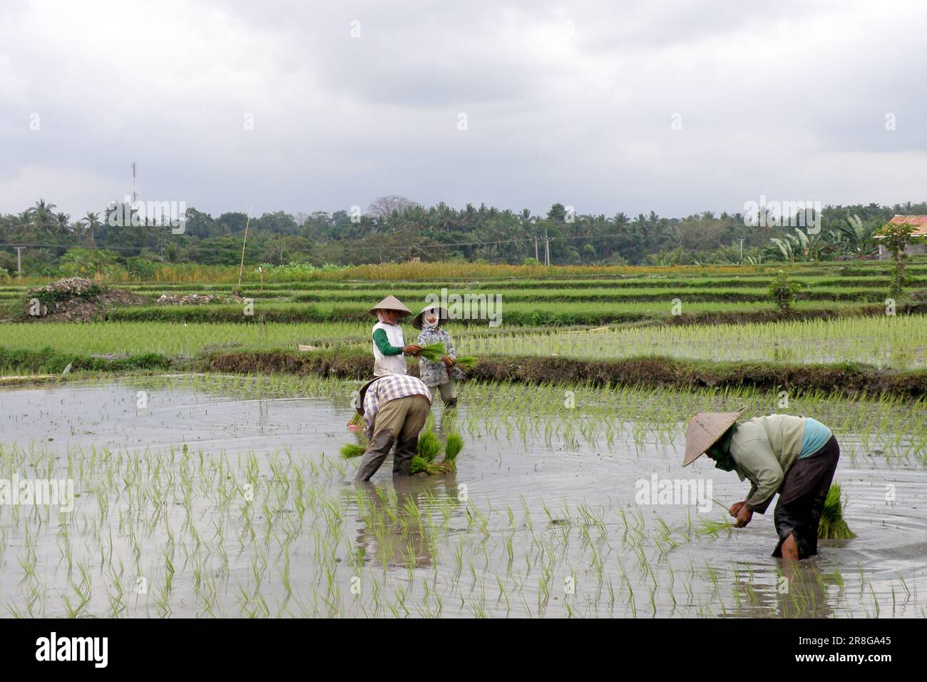 Worker in the fields hi-res stock photography and images - Alamy