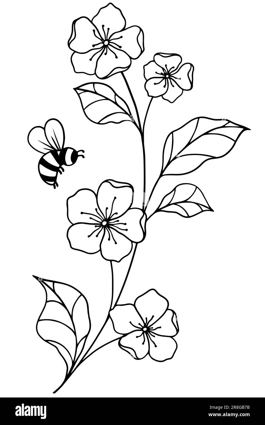 Bee approaches the twig flowers, black and white vector. Graphic ...