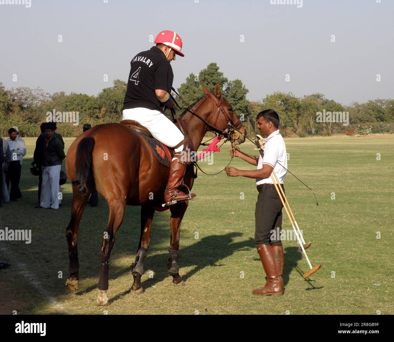 Polo Match, Jaipur, Rajasthan, India Stock Photo - Alamy