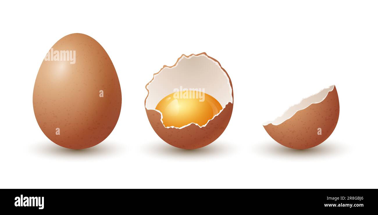 Vector 3d Realistic Brown Chicken Eggs. Textured Whole and Broken Cracked Chicken Egg, Two Parts ...