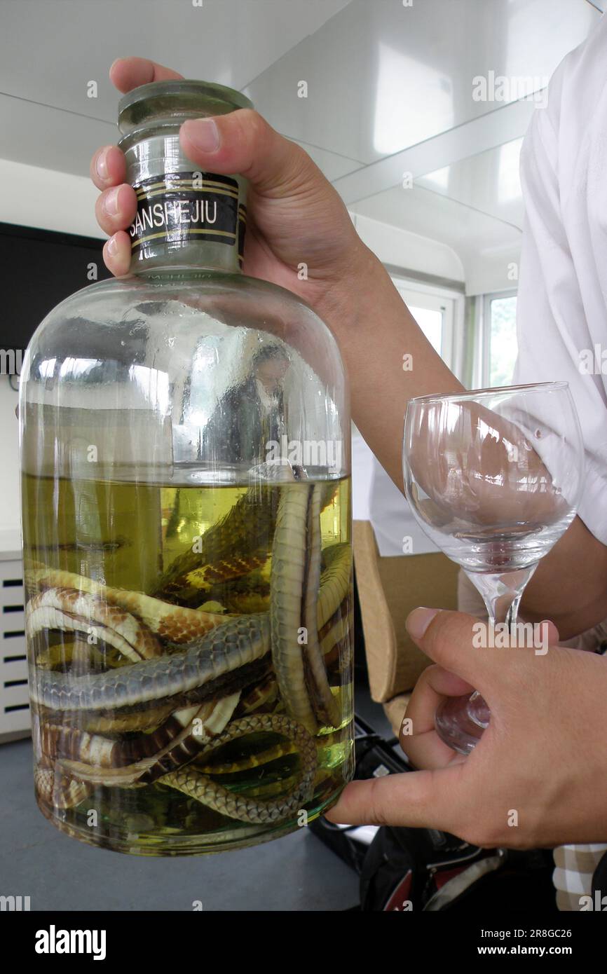 Snake in bottle hi-res stock photography and images - Alamy