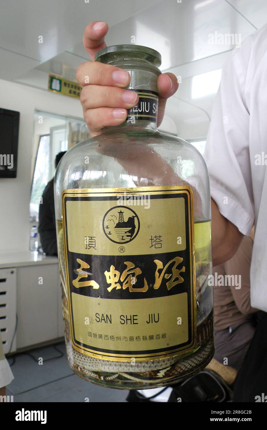 San She Jiu, Snake Wine, Local Guilin Alcoholic Beverage, China Stock ...