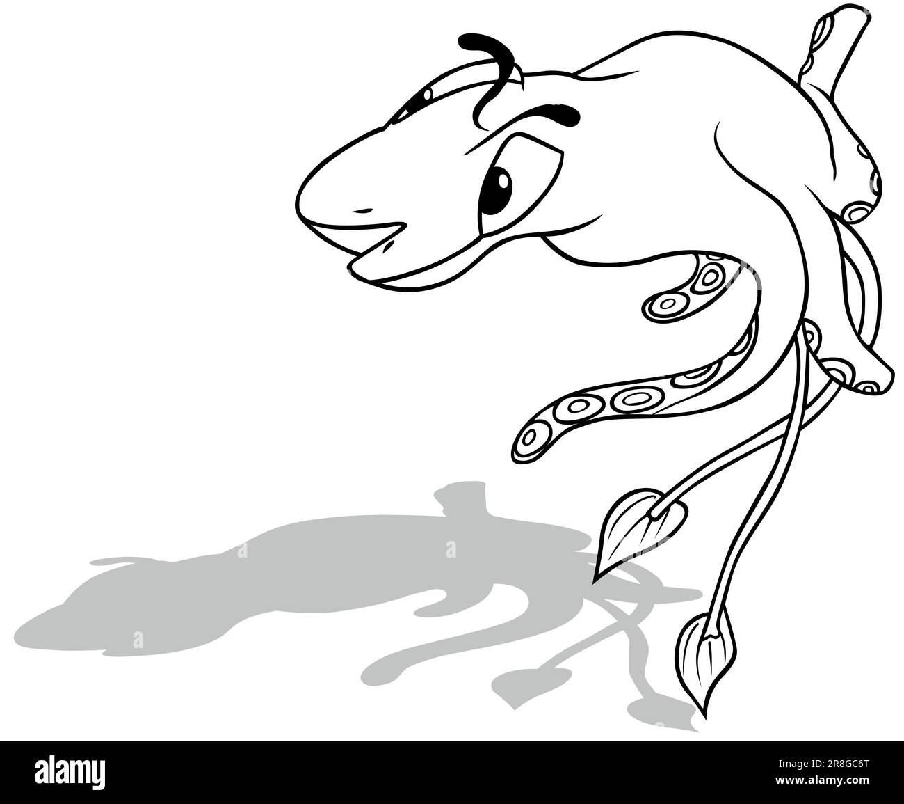 Drawing of a Swimming Cuttlefish Stock Vector Image & Art - Alamy
